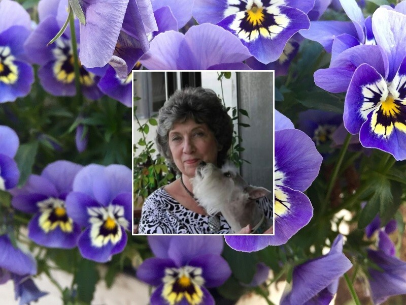 OBITUARY: Norma Jean Sullivan - Sumner County Source