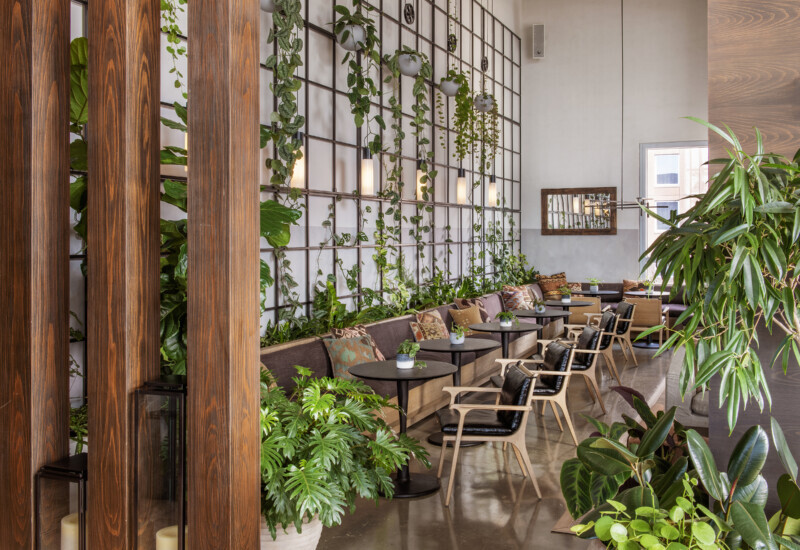 Harriet's Rooftop Transforms Into Gothic Nevermore for Two-Night ...